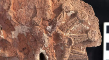 ANF | Rojava Revolution became an inspiration for women worldwide